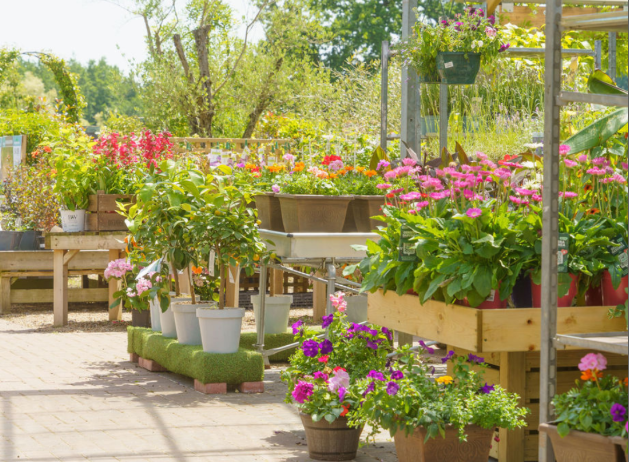 Outdoor Plant Displays – Plants & Plants Supercentre