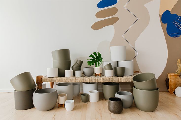 Table Top Pots – Plants & Plants Supercentre