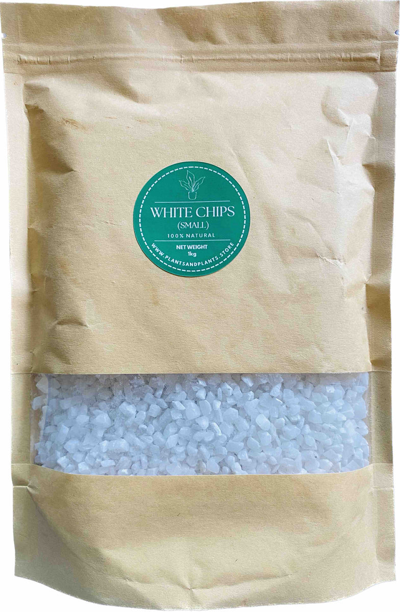White Chips medium 1 KG – Plants & Plants Supercentre