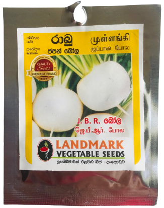 Radish (Japan Ball) – Plants & Plants Supercentre