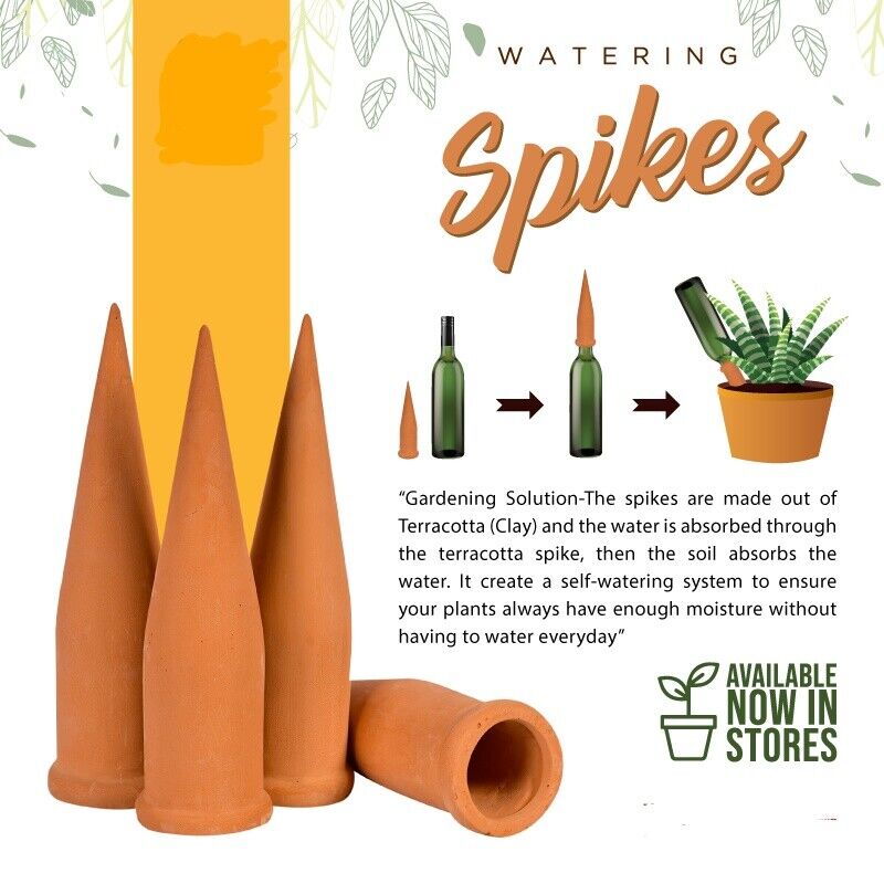 Self-Watering Spike Box – Plants & Plants Supercentre